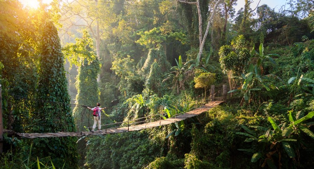 Des vacances pour renouer avec la nature